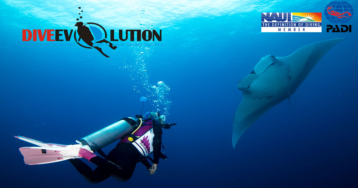 About-us | Dive Evolution